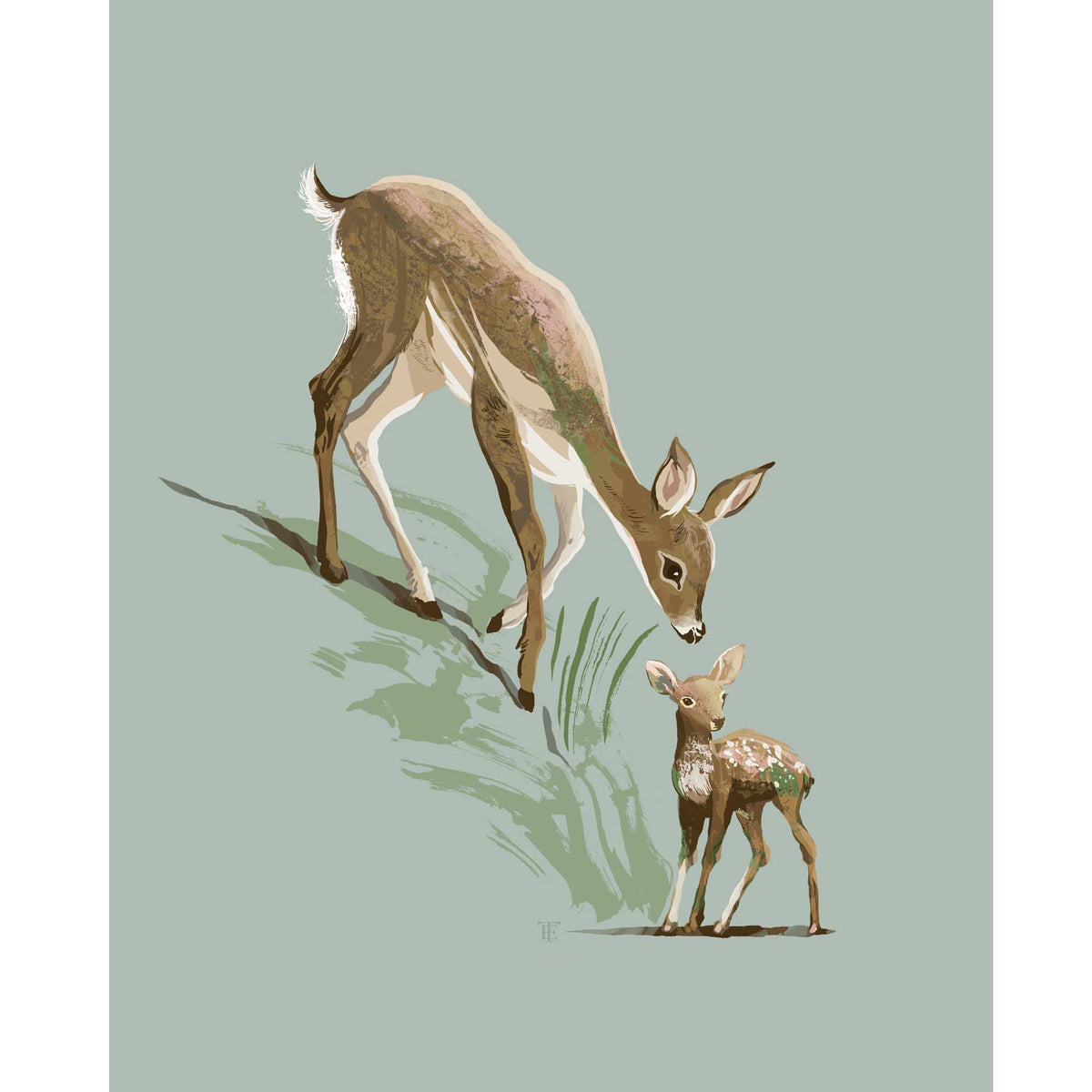 Female Deer | Fawn & Doe Drawing Print by Elise Thomason – Elise ...