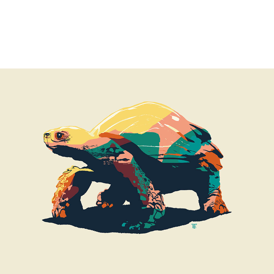 Modern Galápagos Tortoise Art Print | Stylish Ecology Poster | Turtle ...